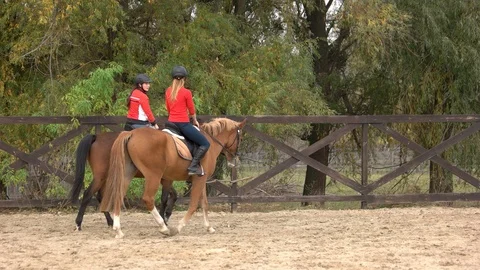 Back view young women riding horses outd... | Stock Video | Pond5