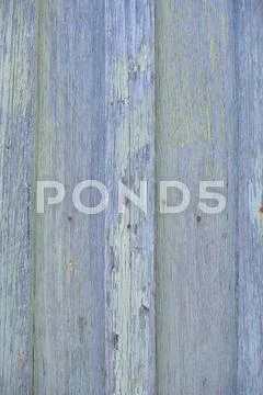 Backdrop Timber wall panels with grain wood texture Stock Image #52482731