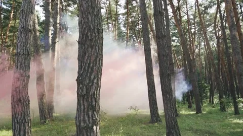 Background of a fantasy scene in a encha... | Stock Video | Pond5