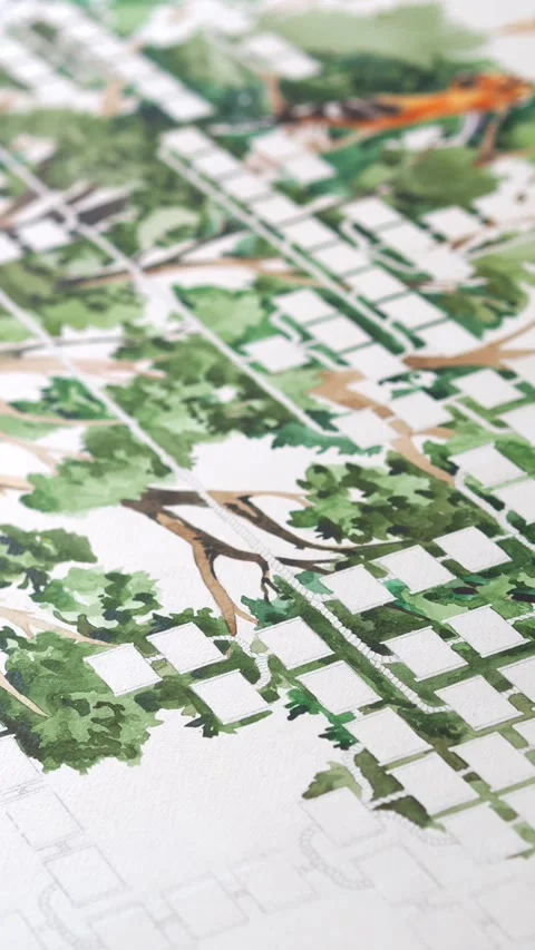 Tree Roots Drawing Stock Videos – Royalty-Free HD & 4K Videos