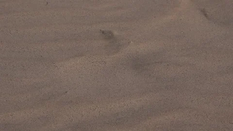 Flagstone Floor Texture Stock Footage ~ Royalty Free Stock Videos | Pond5