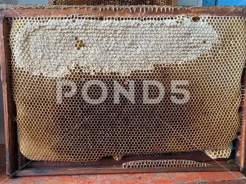 Photograph: Background texture and pattern of a section of wax #227027742