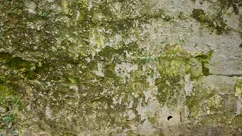 Grunge Background Textures Stock Videos – Royalty-Free HD & 4K Videos