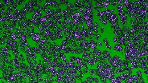 Background Video Chaos Flow Transition -... | Stock Video | Pond5