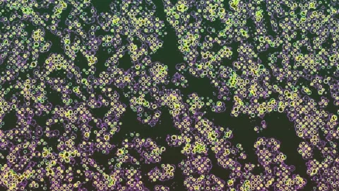 Background Video Chaotic Glitch Flow - R... | Stock Video | Pond5