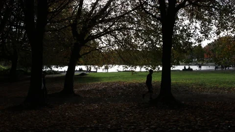 A backlit autumn scene in a park while s... | Stock Video | Pond5