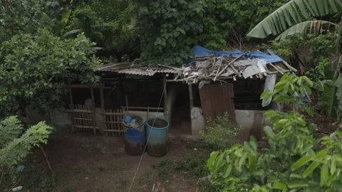 Backyard piggery or pig farm in Rizal pr... | Stock Video | Pond5