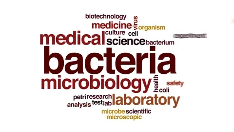Bacteria animated word cloud, text desig... | Stock Video | Pond5