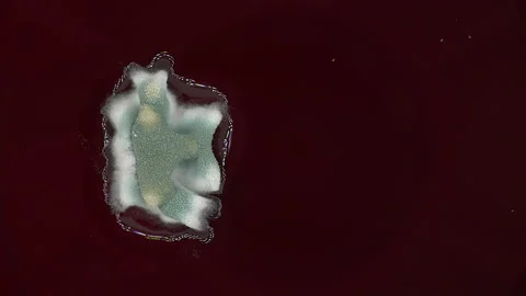 To Break Down Stock Videos – Royalty-Free HD & 4K Videos | Pond5