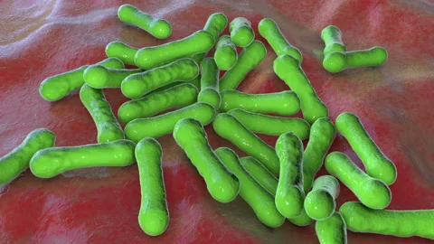 Bacteria Corynebacterium diphtheriae, an... | Stock Video | Pond5