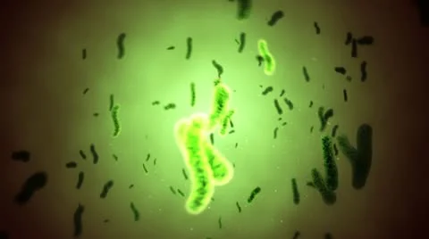Bacteria Stock Video Footage | Royalty Free Bacteria Videos | Pond5