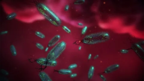 Bacteria Infection. 3d Animation of Grou... | Stock Video | Pond5