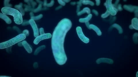 Bacteria Stock Videos – Royalty-Free HD & 4K Videos