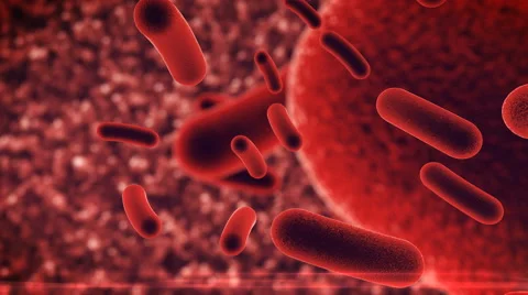 Bacteria infection under microscope. | Stock Video | Pond5