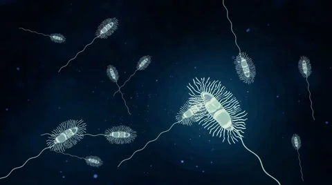 Tuberculosis Stock Footage ~ Royalty Free Stock Videos | Pond5