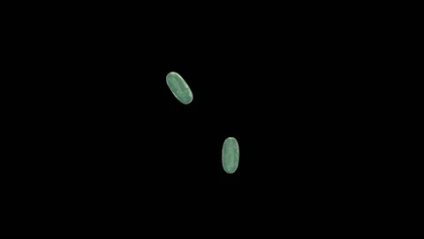 Bacteria Multiplying Stock Videos – Royalty-Free HD & 4K Videos