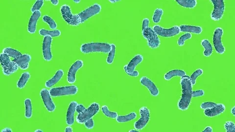 Bacteria rain down on a green screen. 3D... | Stock Video | Pond5