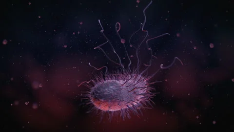 A Bacteria under a microscope | Stock Video | Pond5