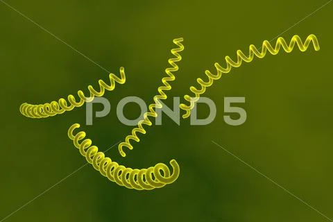 Bacteria which cause syphilis, Treponema pallidum Illustration #68865196