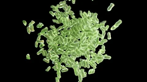 Bacterial Growth, beautiful 3d animation... | Stock Video | Pond5