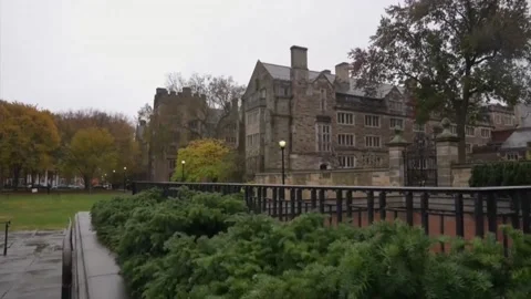 Bad Reacher Stock Videos – Royalty-Free HD & 4K Videos