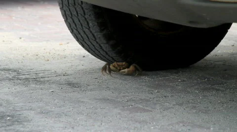 Land Bad Stock Videos – Royalty-Free HD & 4K Videos