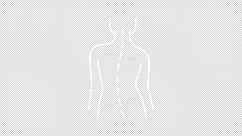 Posture Type Stock Videos – Royalty-Free HD & 4K Videos | Pond5