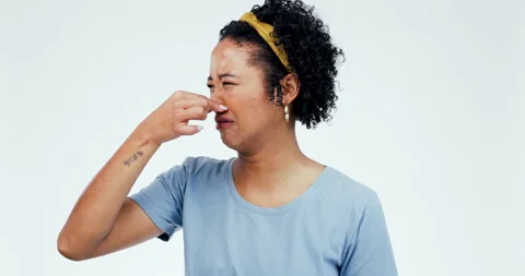 Stink Studio Stock Videos – Royalty-Free HD & 4K Videos