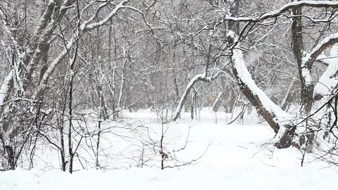 Bad Snow St Stock Videos – Royalty-Free HD & 4K Videos | Pond5