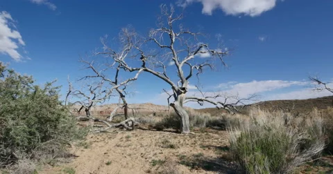 Hanging Noose Stock Footage ~ Royalty Free Stock Videos | Pond5