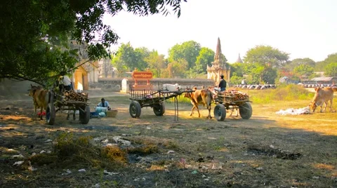 Myanmar Video Car Stock Videos – Royalty-Free HD & 4K Videos