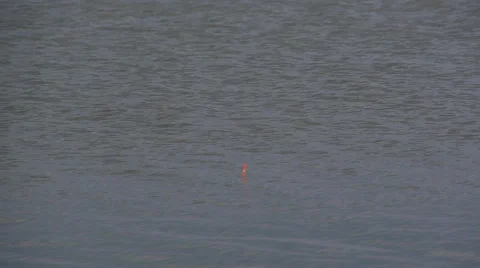 Bait for fish falling into the water nex... | Stock Video | Pond5