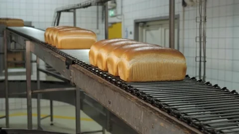 Baked white bread on a conveyor belt in ... | Stock Video | Pond5