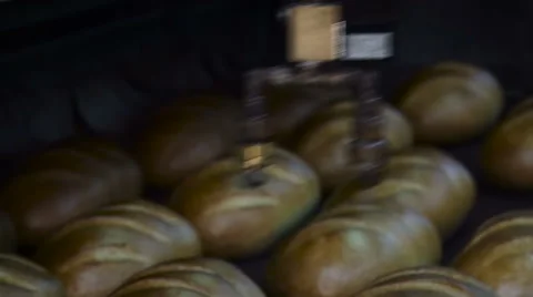 Bakery Plant. Long Bread Loaves Moving O... | Stock Video | Pond5