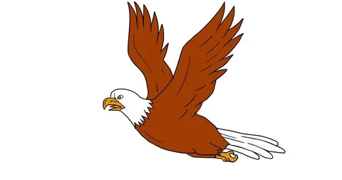 Bald Eagle Flying 2D Animation | Stock Video | Pond5