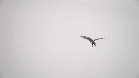 Grabbing G Stock Videos – Royalty-Free HD & 4K Videos