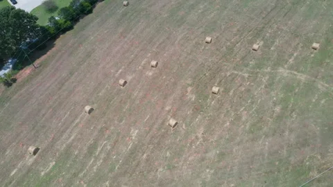 Stock Footage by Nacho25397 | Official Pond5 Storefront