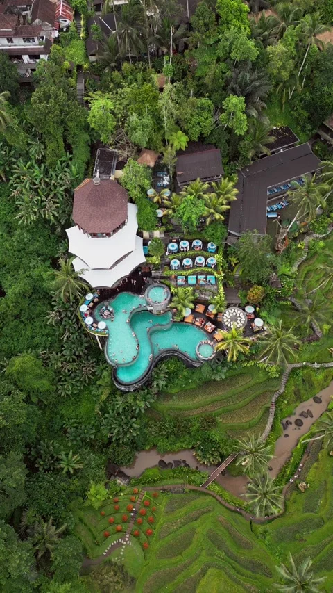 Party Lounge Stock Videos – Royalty-Free HD & 4K Videos | Pond5