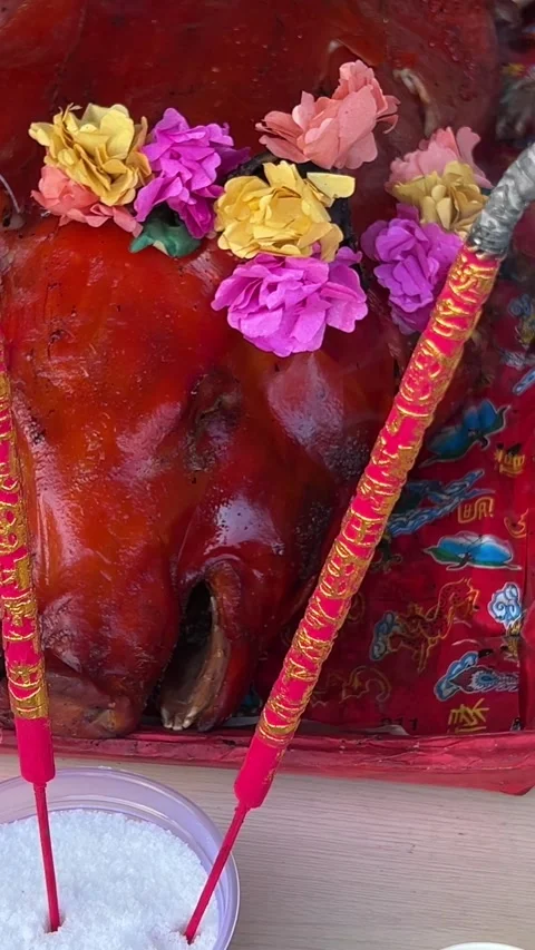 Babi and F Stock Videos – Royalty-Free HD & 4K Videos