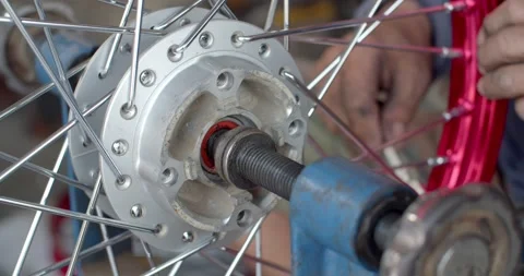 Make More Stock Videos – Royalty-Free HD & 4K Videos