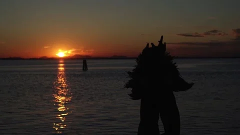 Ballet dancer in fluffy costume silhouet... | Stock Video | Pond5