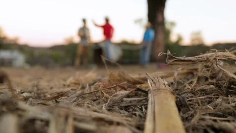 Talking Bamboo Stock Videos – Royalty-Free HD & 4K Videos