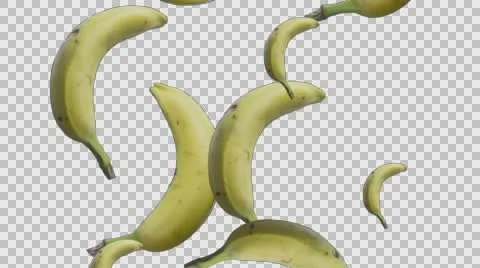 bananas spinning loop alpha 4k | Stock Video | Pond5