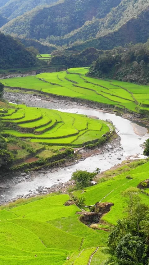 Banaue rice terraces in the Philippines ... | Stock Video | Pond5