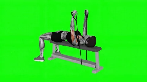 Band Bench Press female fitness gym exer... | Stock Video | Pond5