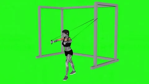 Chest Workout Stock Footage ~ Royalty Free Stock Videos | Pond5