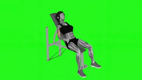 Female Bicep Curl Stock Footage ~ Royalty Free Stock Videos | Pond5