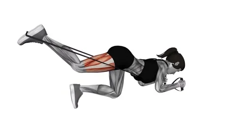 Fitness Animation Stock Video Footage | Royalty Free Fitness Animation ...