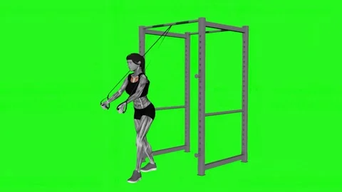 band low chest fly female fitness gym ex... | Stock Video | Pond5