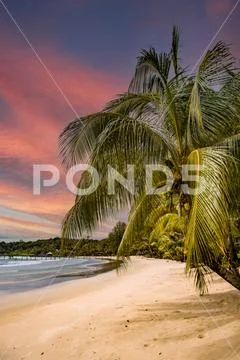 Bang Bao, Siam Beach in Koh Kood, Trat, Thailand ~ Premium Photo #157192734